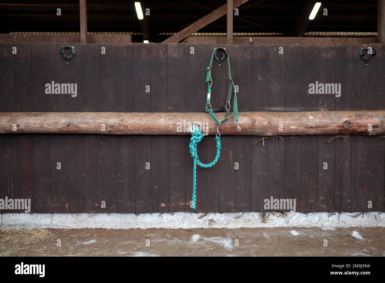 Rustic ranch horse hi-res stock photography and images - Alamy