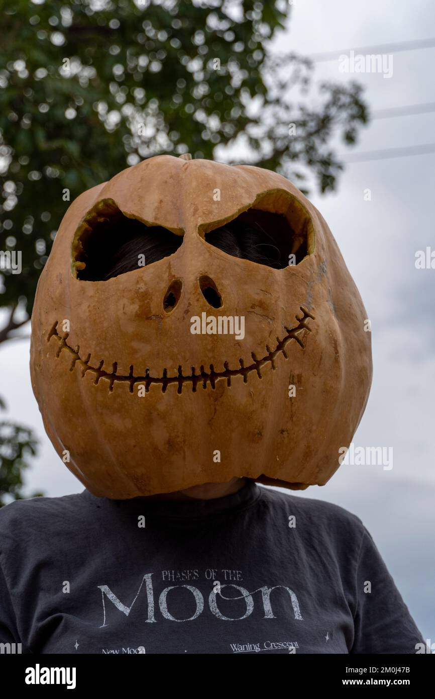 A vertical shot of an old male farmer with a pumpkin head for Halloween ...