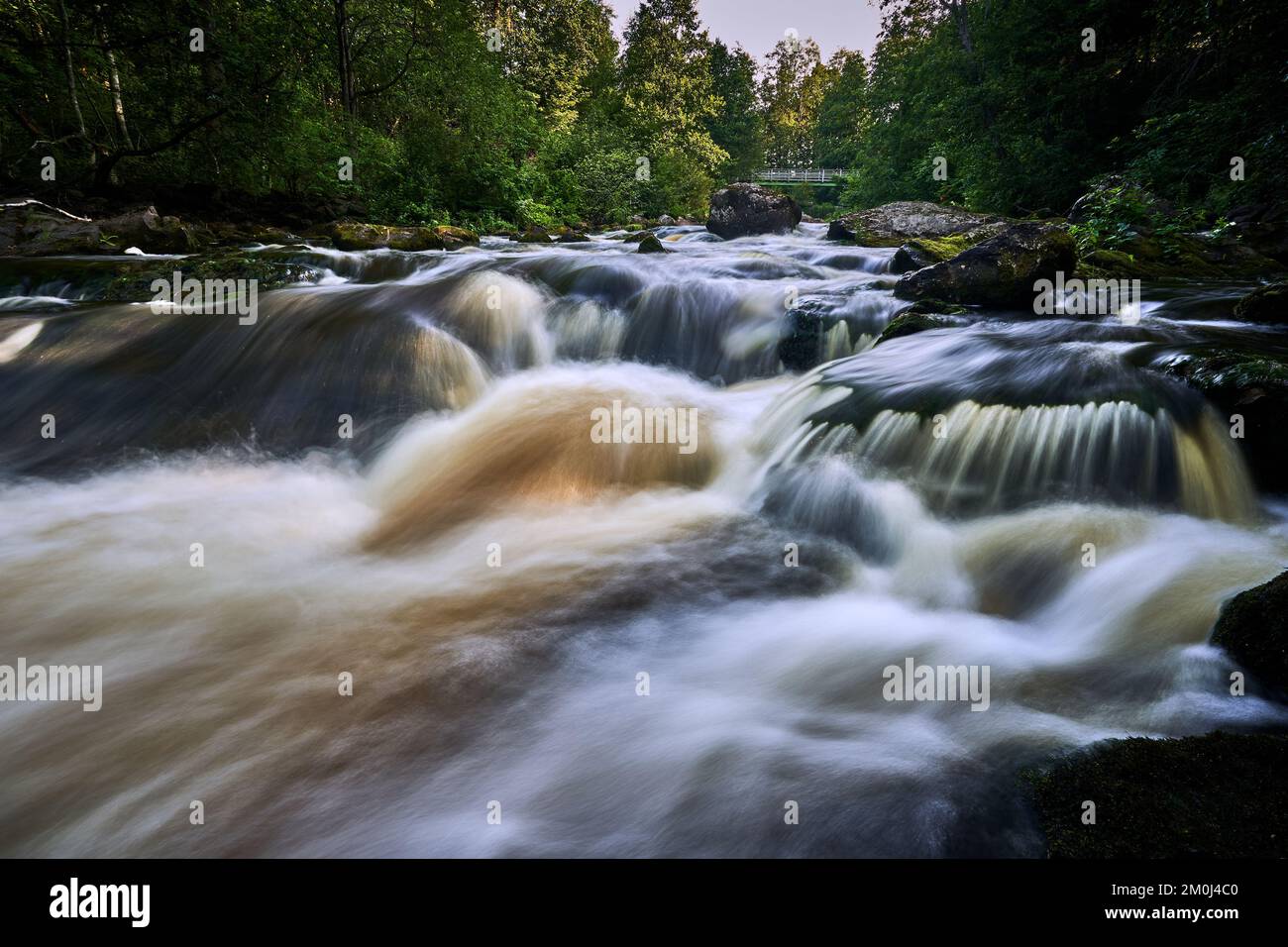 A closeup shot of a river in the forest Stock Photo - Alamy
