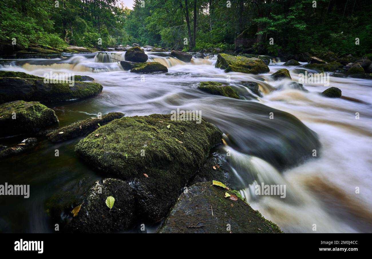 A closeup shot of a river in the forest Stock Photo - Alamy
