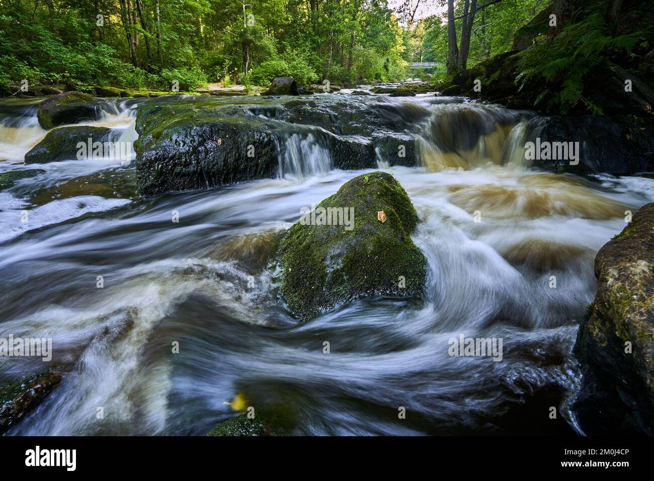 A closeup shot of a river in the forest Stock Photo - Alamy