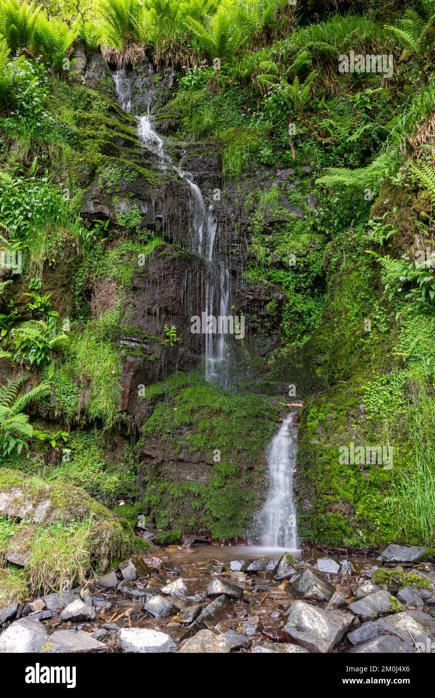 Long exposure of the Hollowbrook waterfall on the South West Coastpath ...