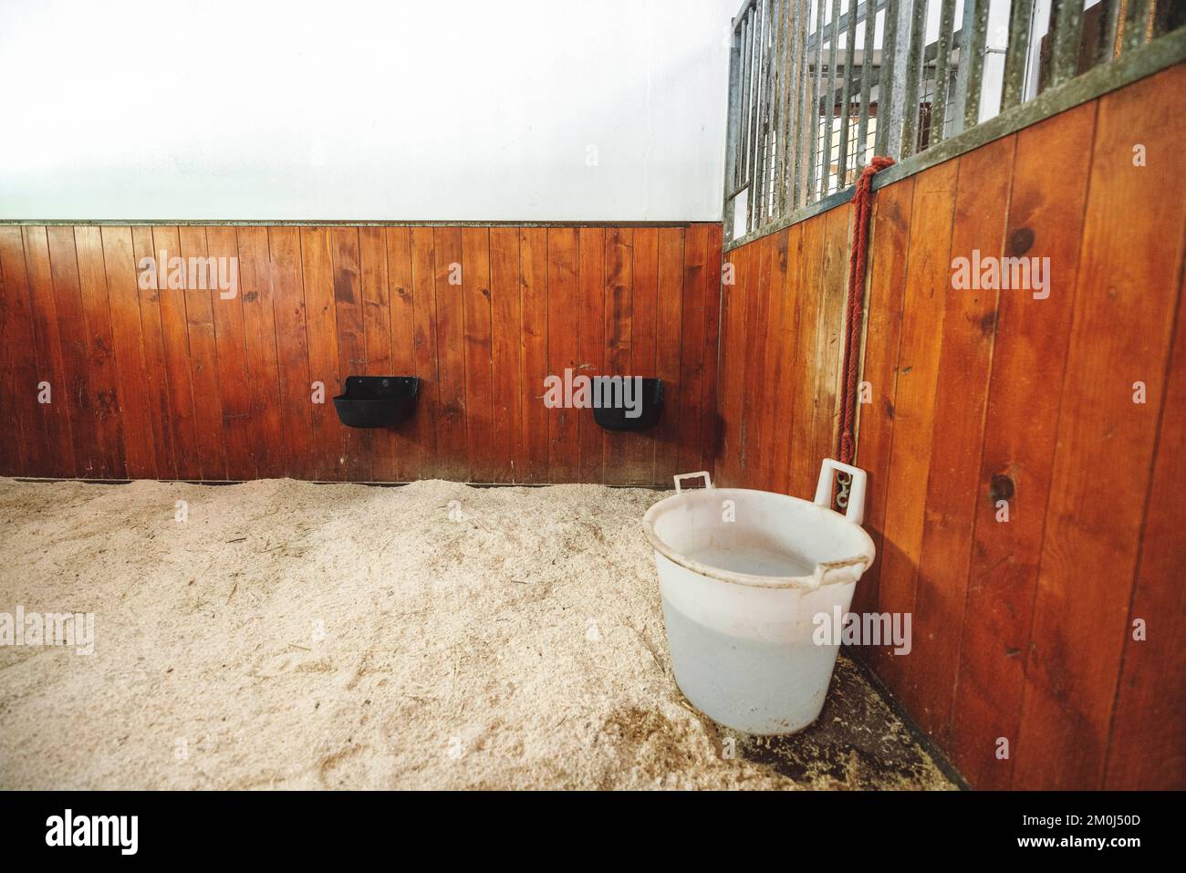 Horse stable with a bucket of water by the side Stock Photo - Alamy