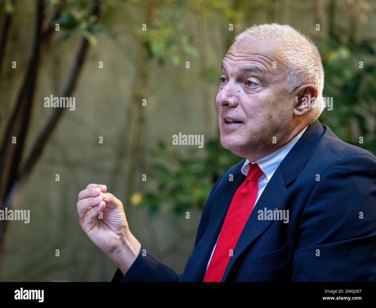 Nuccio Ordine (Diamante, Calabria, Cosenza, Italia, 1958) is an Italian ...