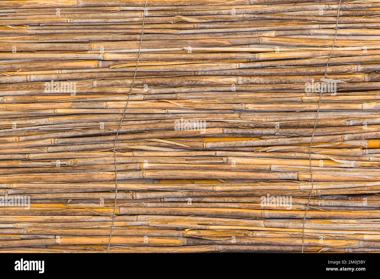 Light yellow reed interior pattern bamboo handmade wall wicker texture ...