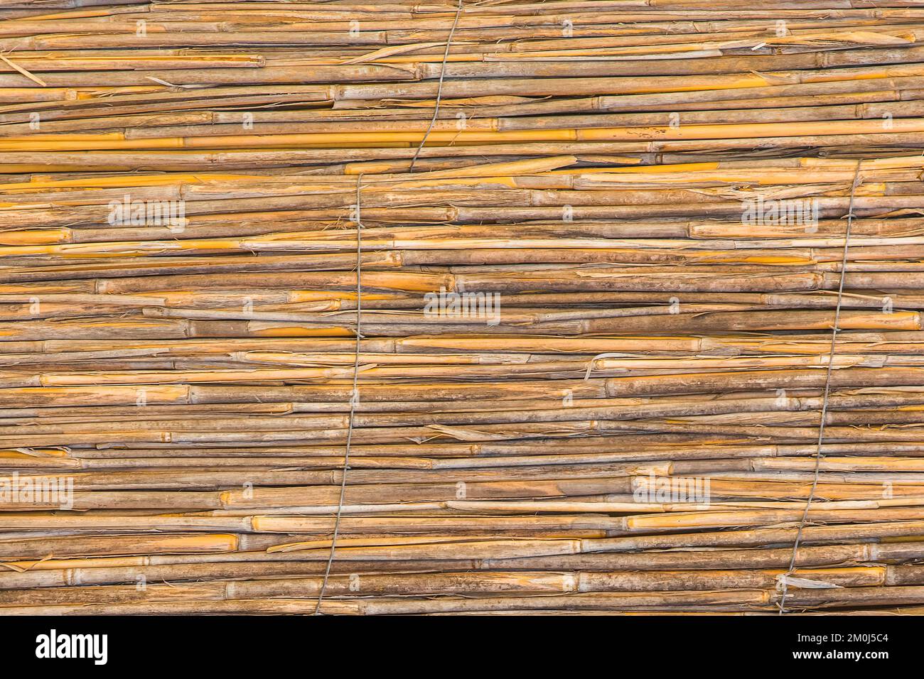 Light yellow reed interior pattern bamboo handmade wall wicker texture ...