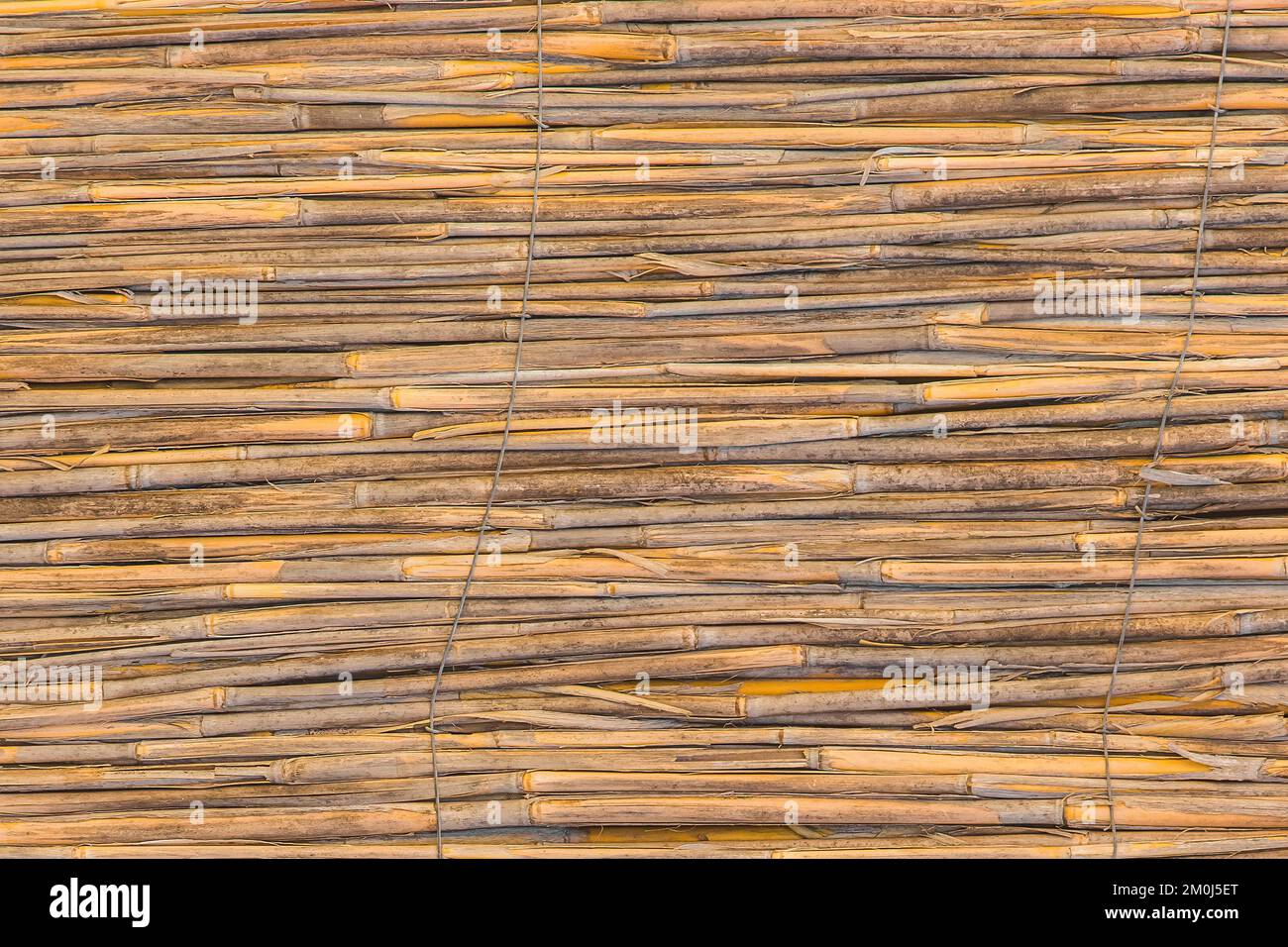 Light yellow reed interior pattern bamboo handmade wall wicker texture ...