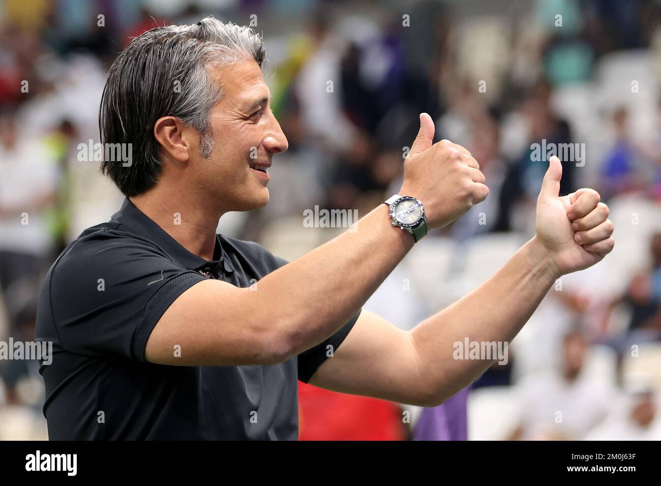 Head coach of Switzerland Murat Yakin reacts the FIFA World Cup Qatar ...