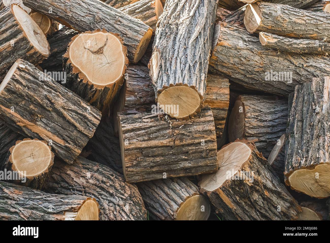 Heap of large sawn tree trunks logs forest background Stock Photo - Alamy