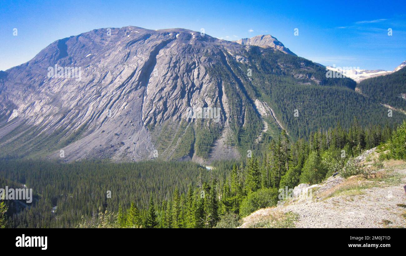 An aerial view of a beautiful forest near the mountains Stock Photo - Alamy