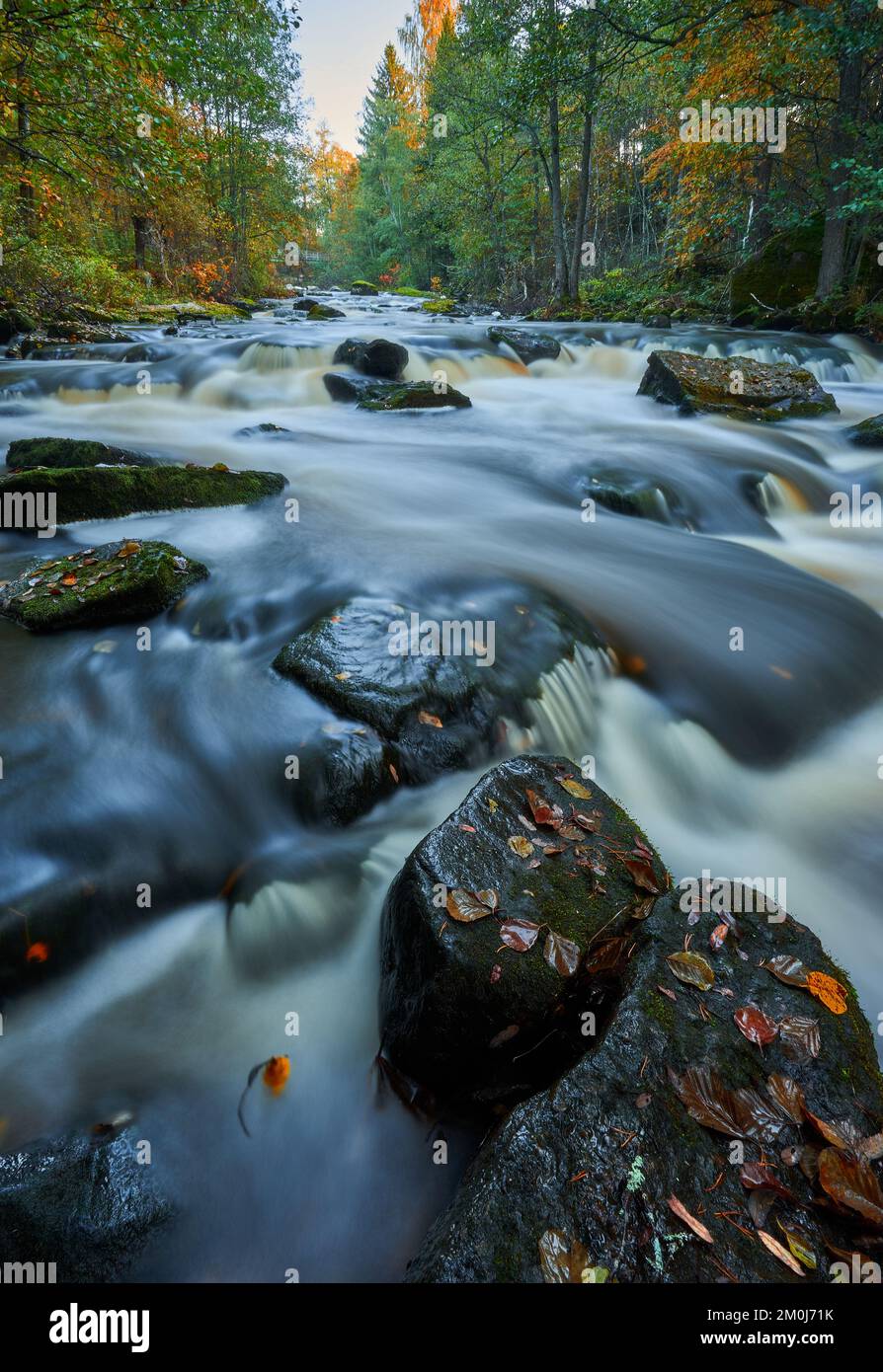 A vertical shot of river running through the forest Stock Photo - Alamy
