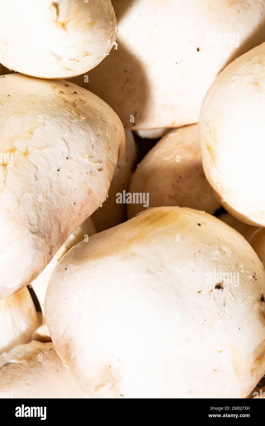 The texture of mushrooms as a background. A close shot of mushrooms ...