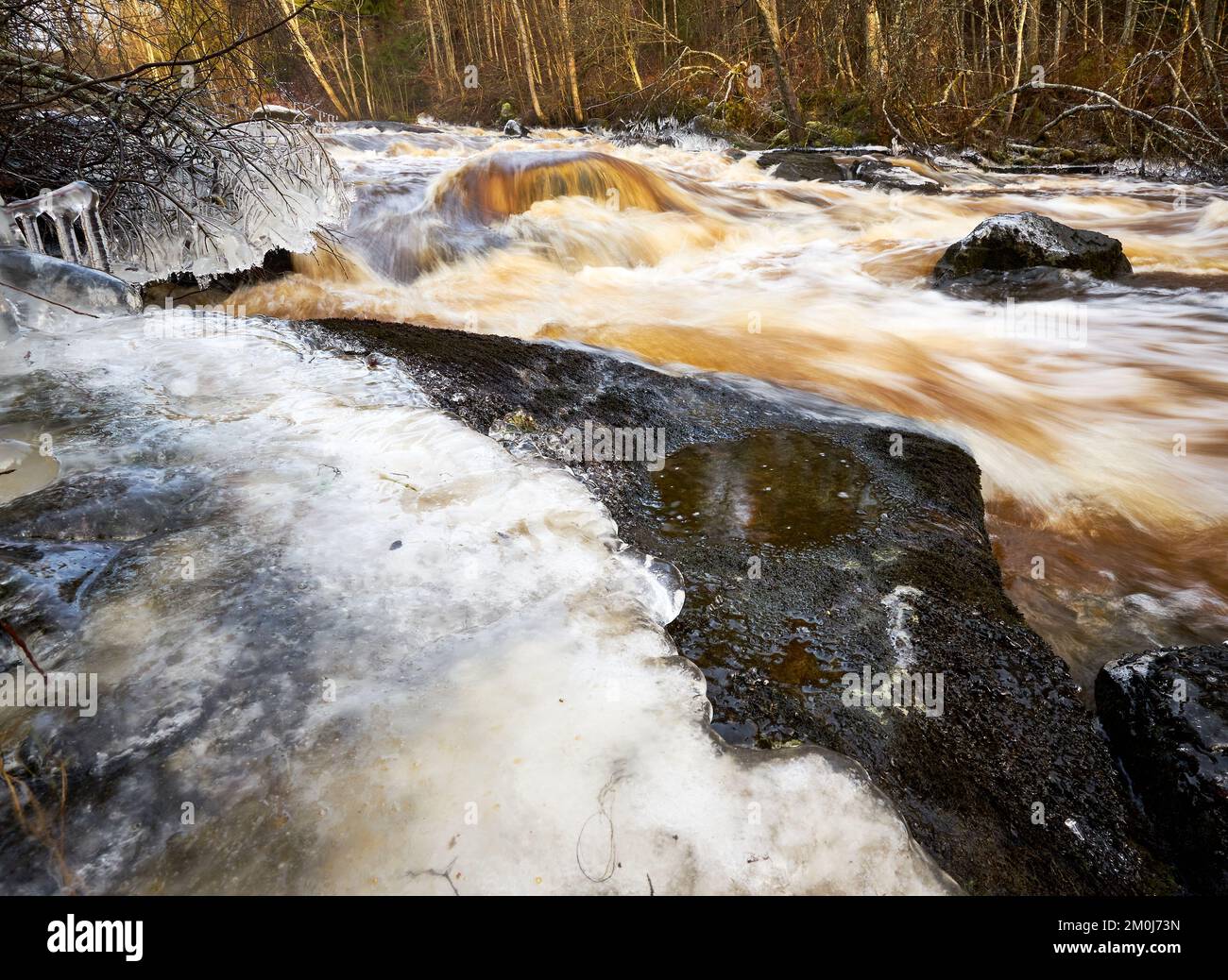 A foamy river flowing through big rocks in the forest, long exposure ...
