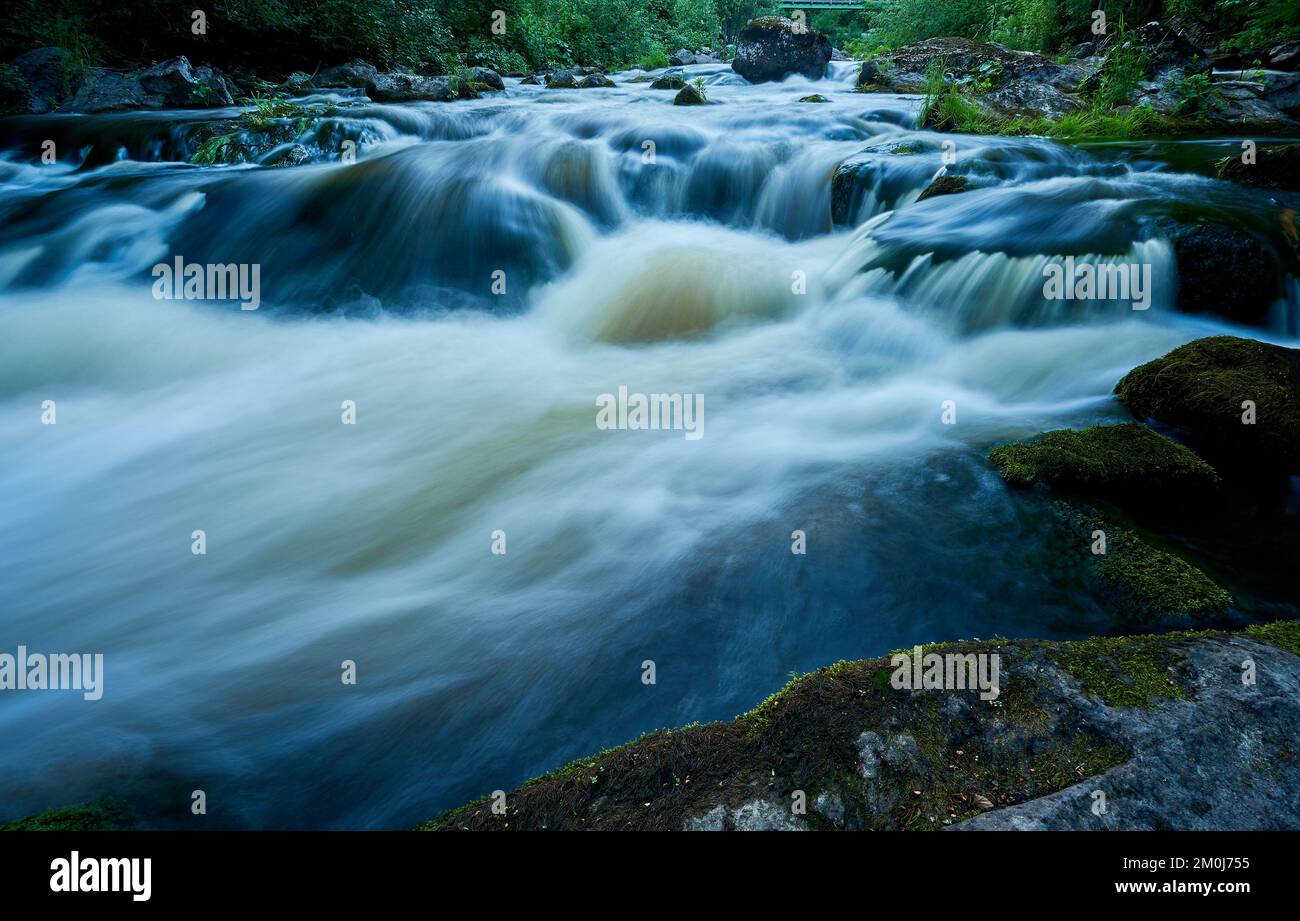A foamy river flowing through big rocks in the forest, long exposure ...