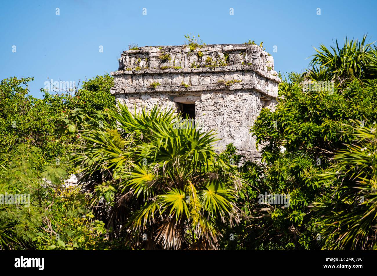 Tulum, archeological site in the Riviera Maya, Mexico Stock Photo - Alamy