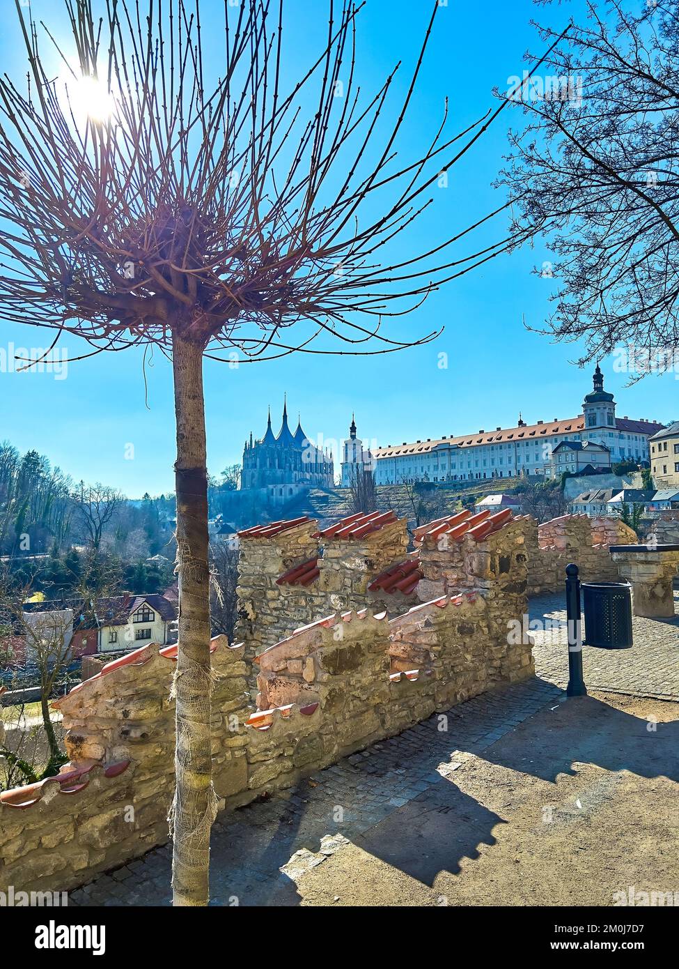 The bright sun shines through the tree branches on the viewpoint of ...
