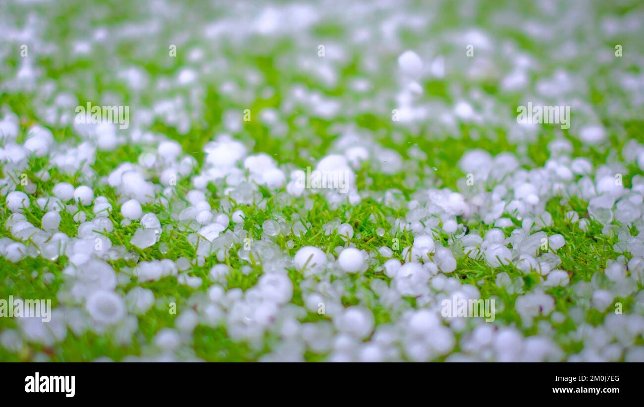 Rain falling on grass hi-res stock photography and images - Alamy