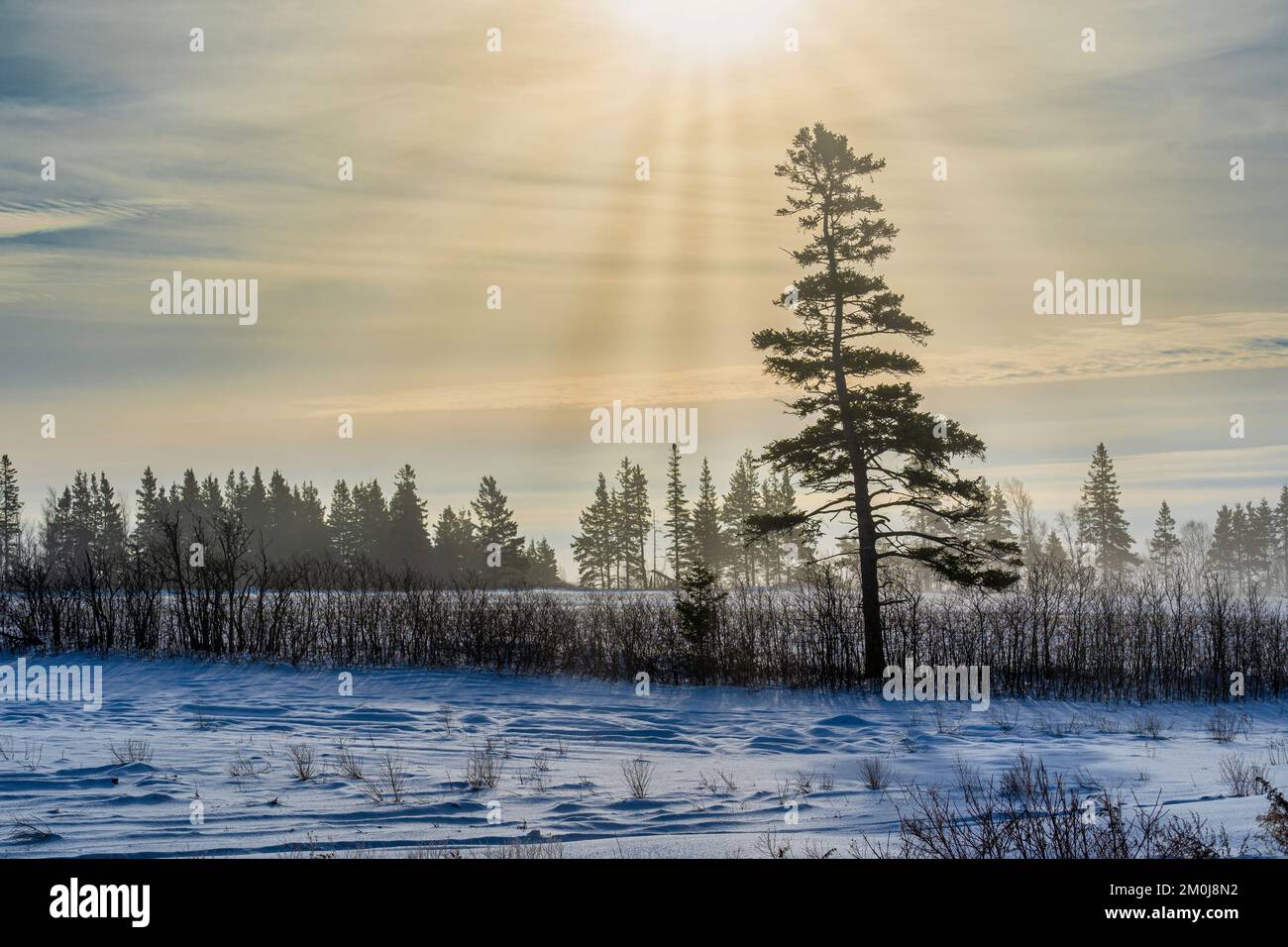 Sun going down over a misty winter field Stock Photo - Alamy