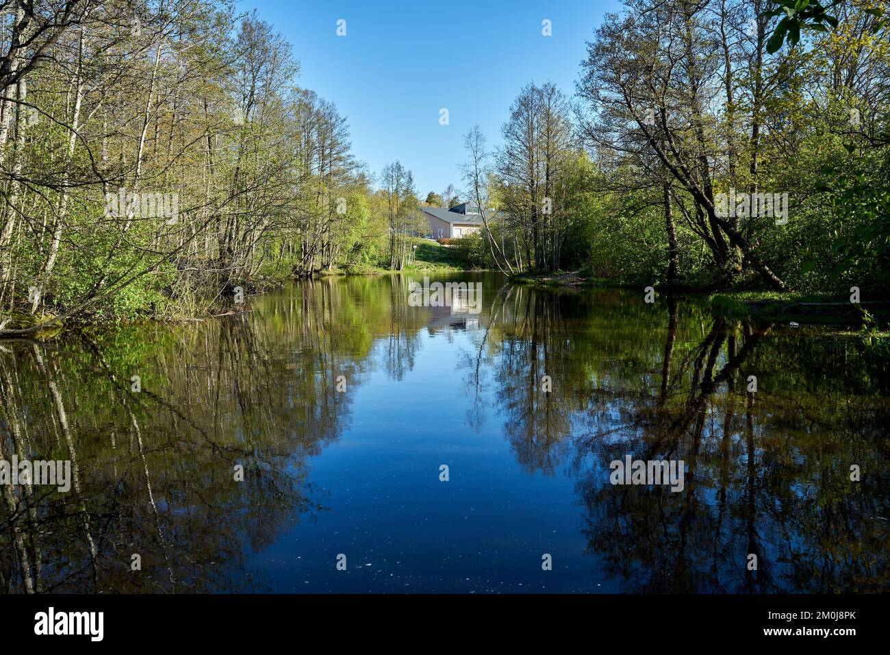 a Lake surrounded by greenery Stock Photo - Alamy