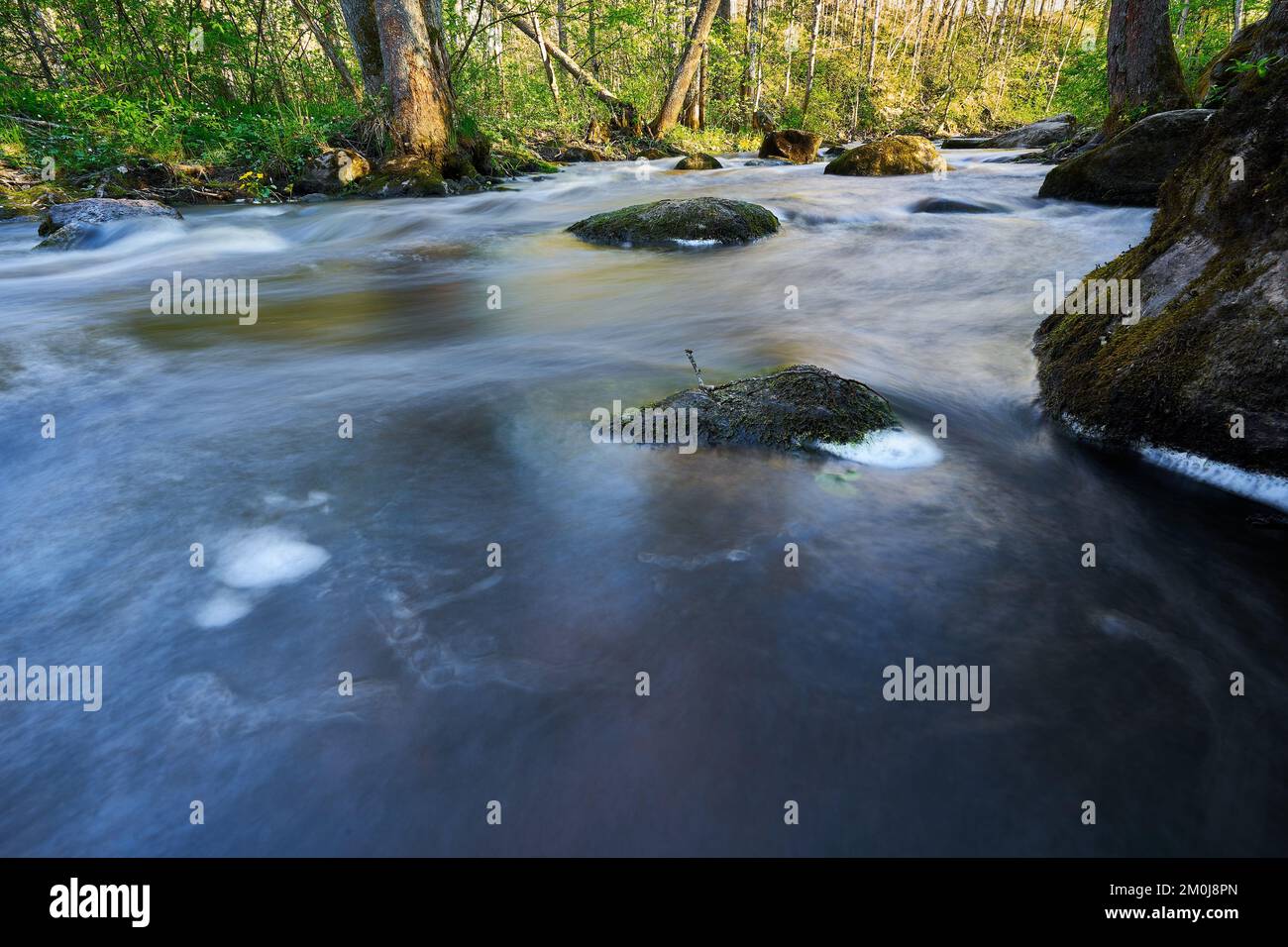 a light exposure Lake surrounded by greenery Stock Photo - Alamy