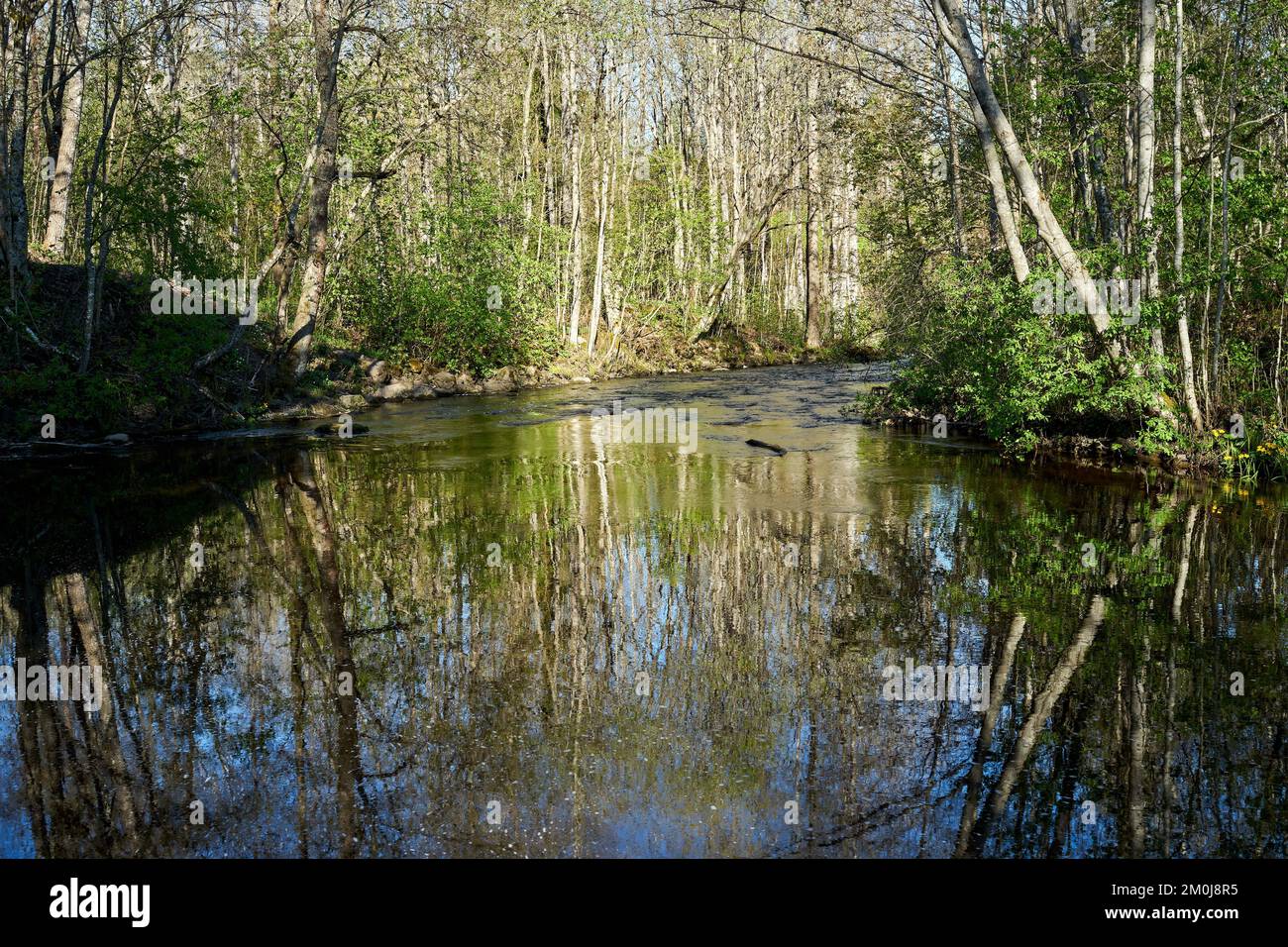 a lake surrounded by greenery Stock Photo - Alamy