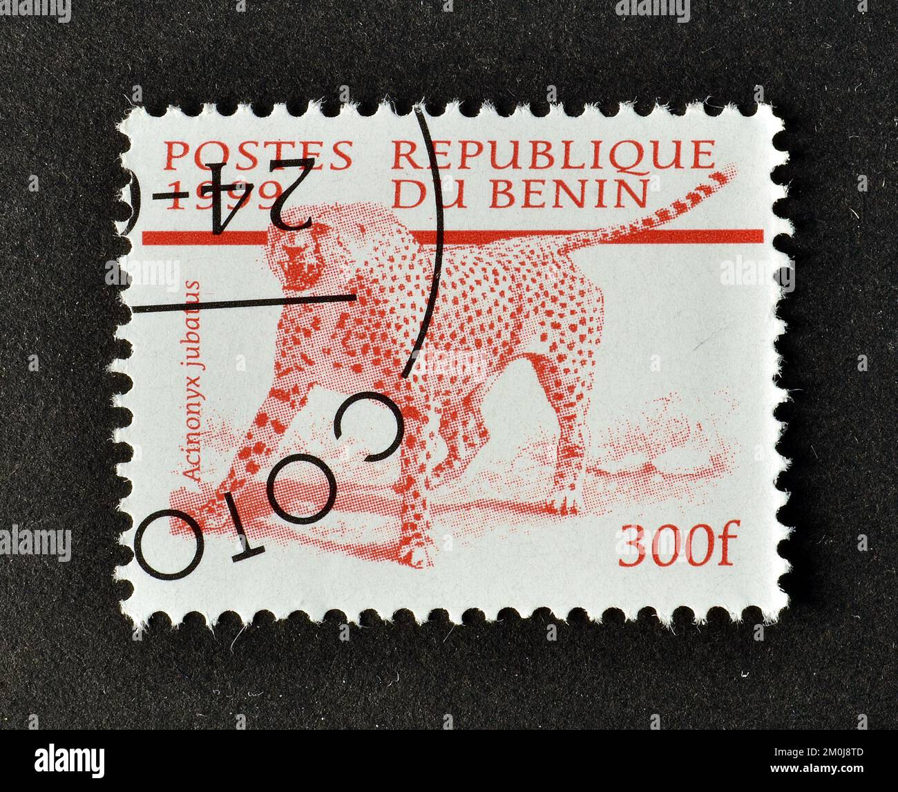 Cancelled postage stamp printed by Benin, that shows Cheetah (Acinonyx ...