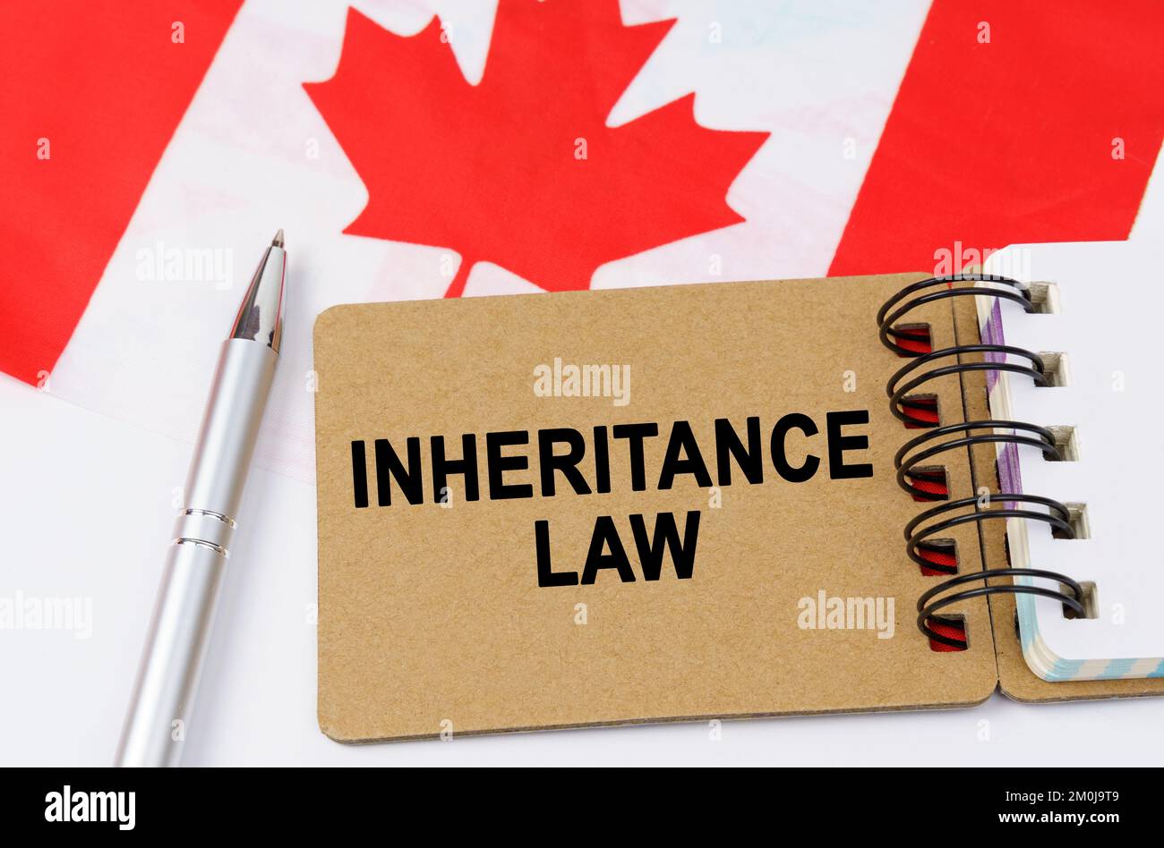 Law and justice concept. Against the background of the flag of Canada ...