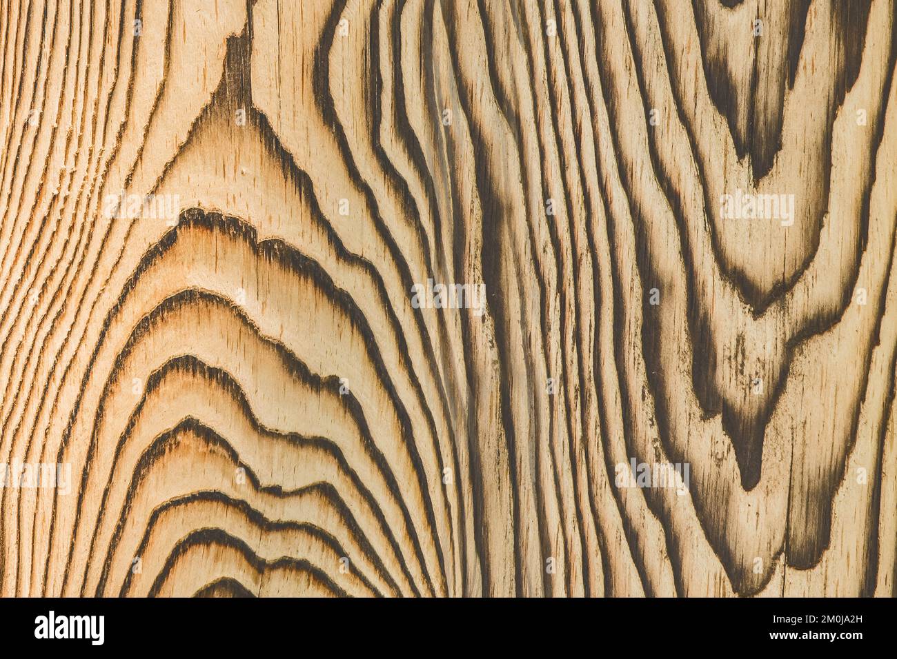 Charred wood texture hi-res stock photography and images - Alamy