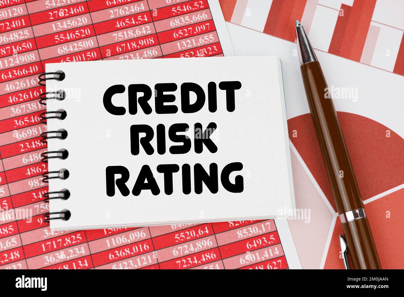 Business and finance concept. On financial documents and charts there is a notebook with the ...