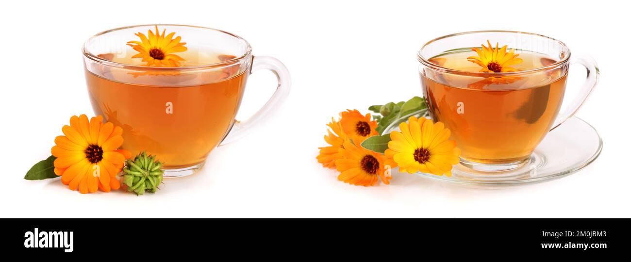 Calendula tea with fresh flowers isolated on white background Stock ...