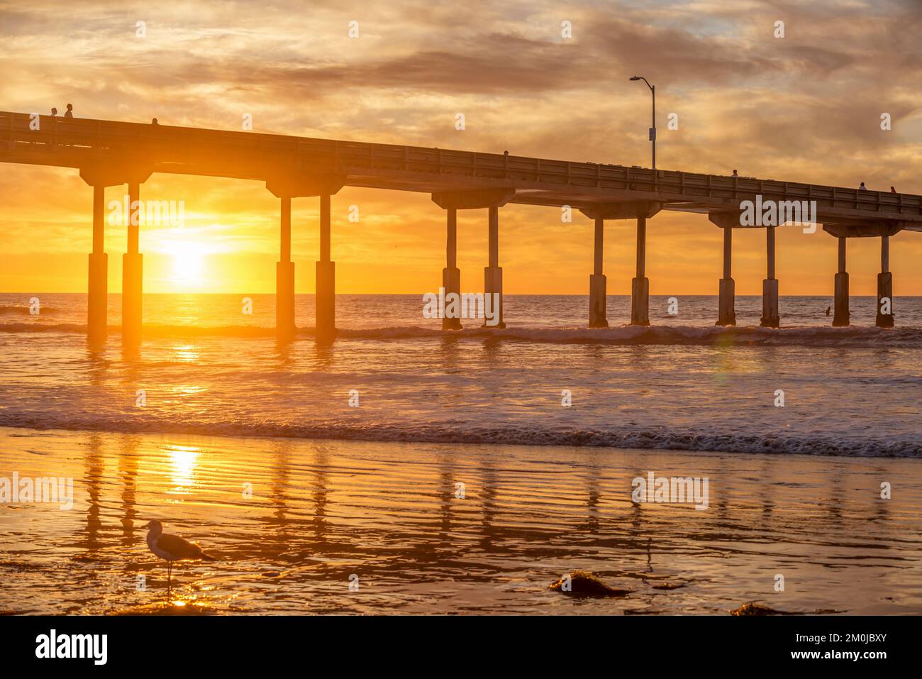 A vibrant winter coastal sunset with a view of the Ocean Beach Pier ...