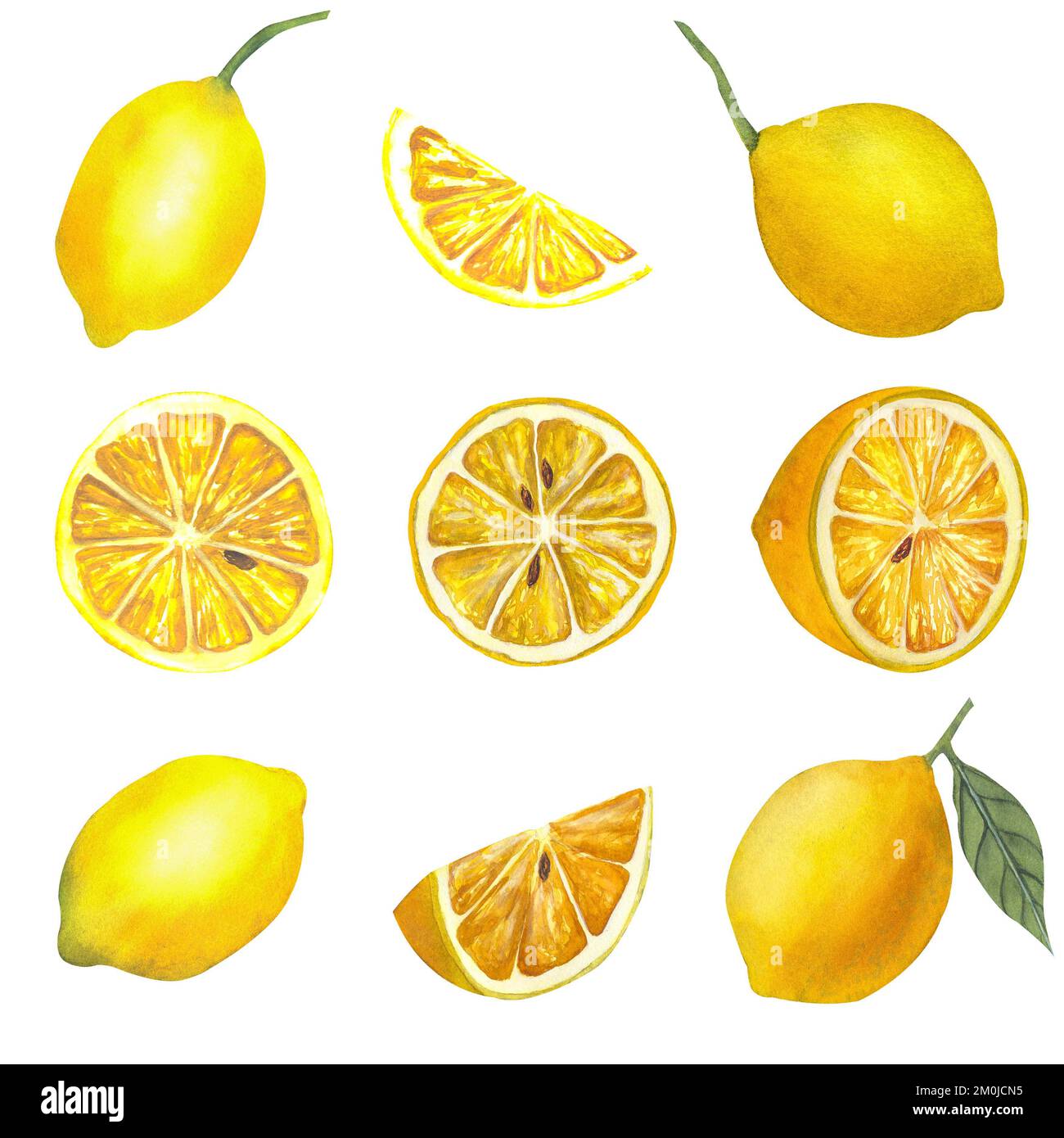 Hand drawn watercolor half, whole and slice of lemon Stock Photo - Alamy