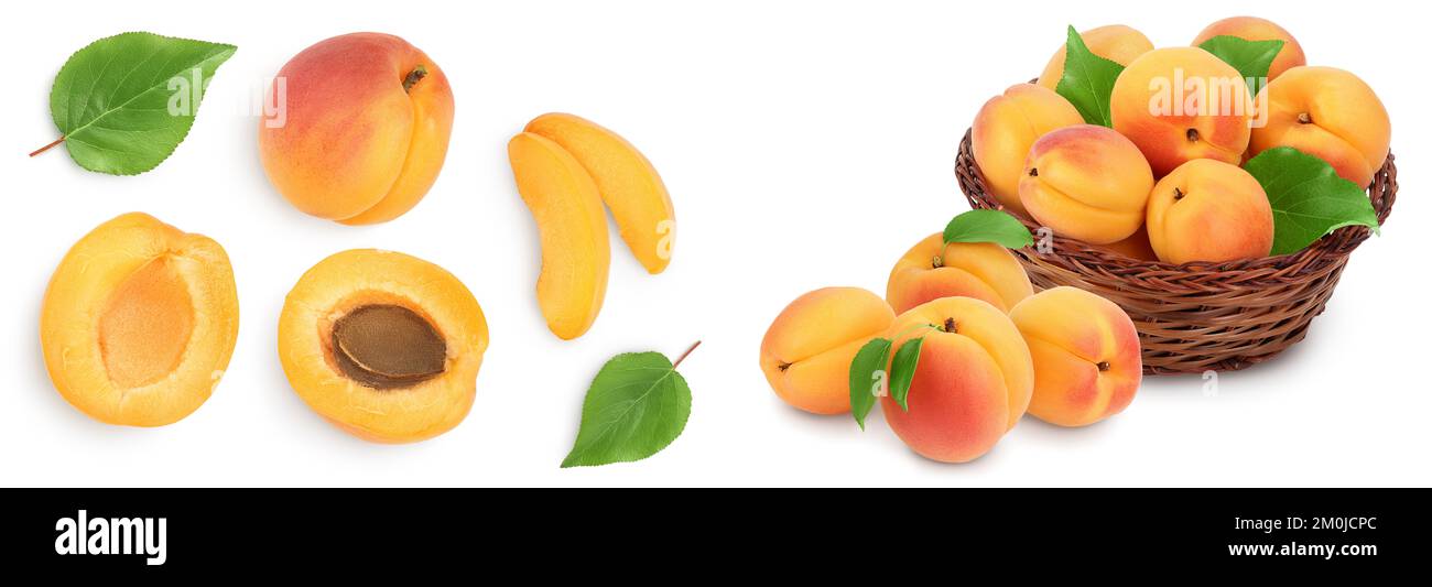 apricot fruit with half and slices isolated on white background. Top ...