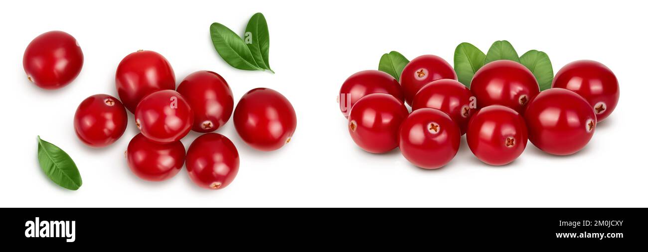 Cranberry with leaves isolated on white background with full depth of ...