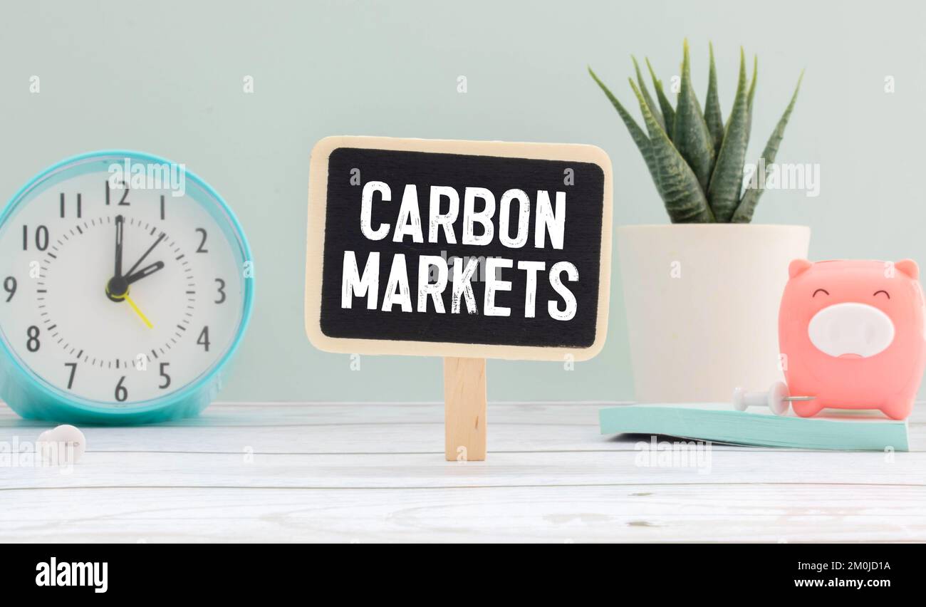 CARBON MARKETS. text on white sticker on wood background Stock Photo ...