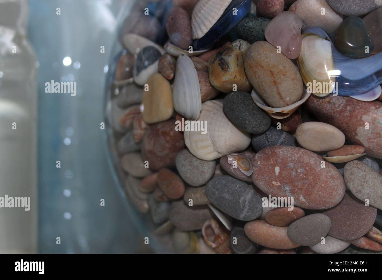 Full Glass Vase With Pebble Stones And Seashells Closeup Side View ...
