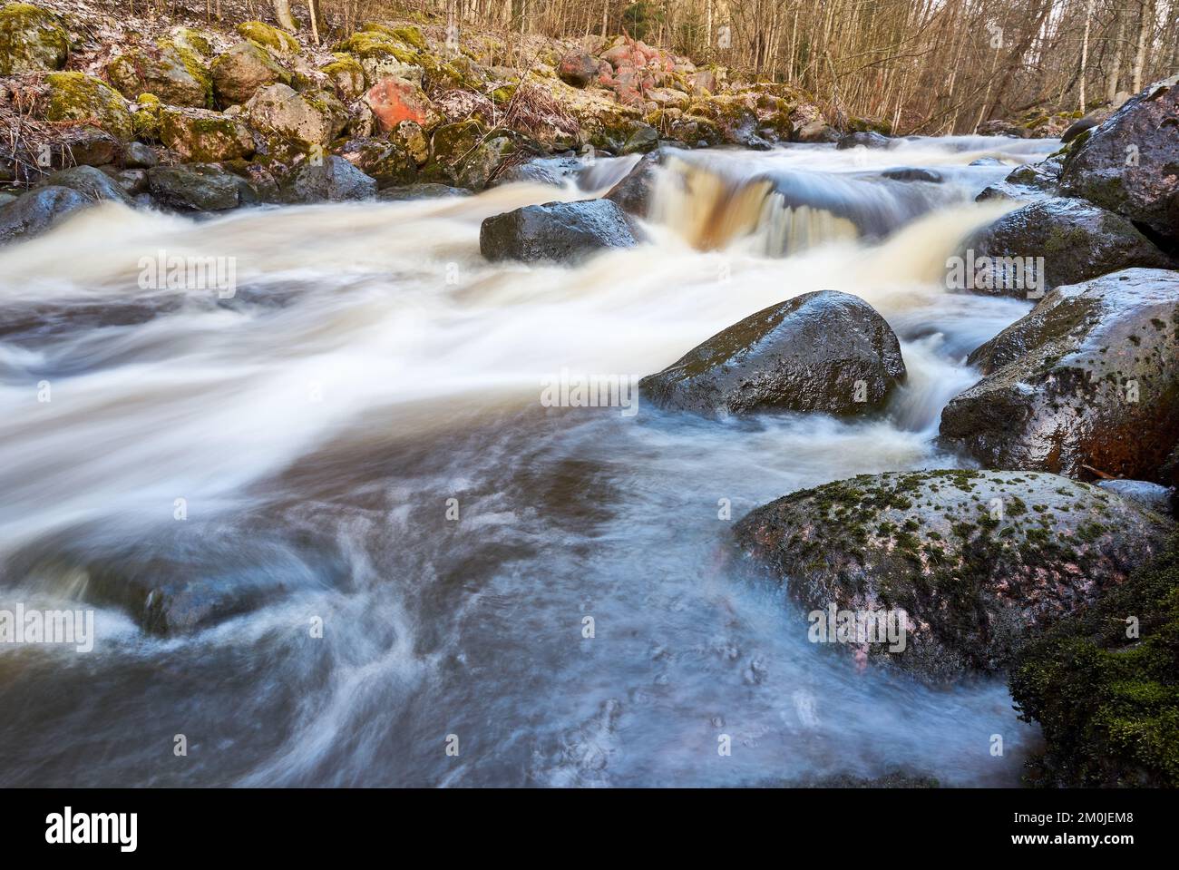 A river running through the forest Stock Photo - Alamy