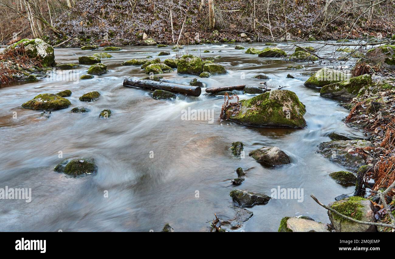 A river running through the forest Stock Photo - Alamy
