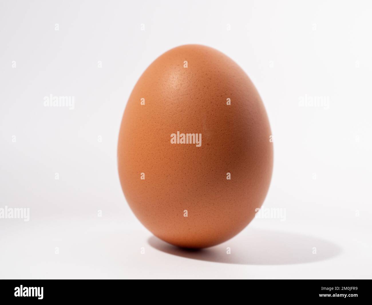 Chicken eggs on a white background. Brown egg on a white background ...