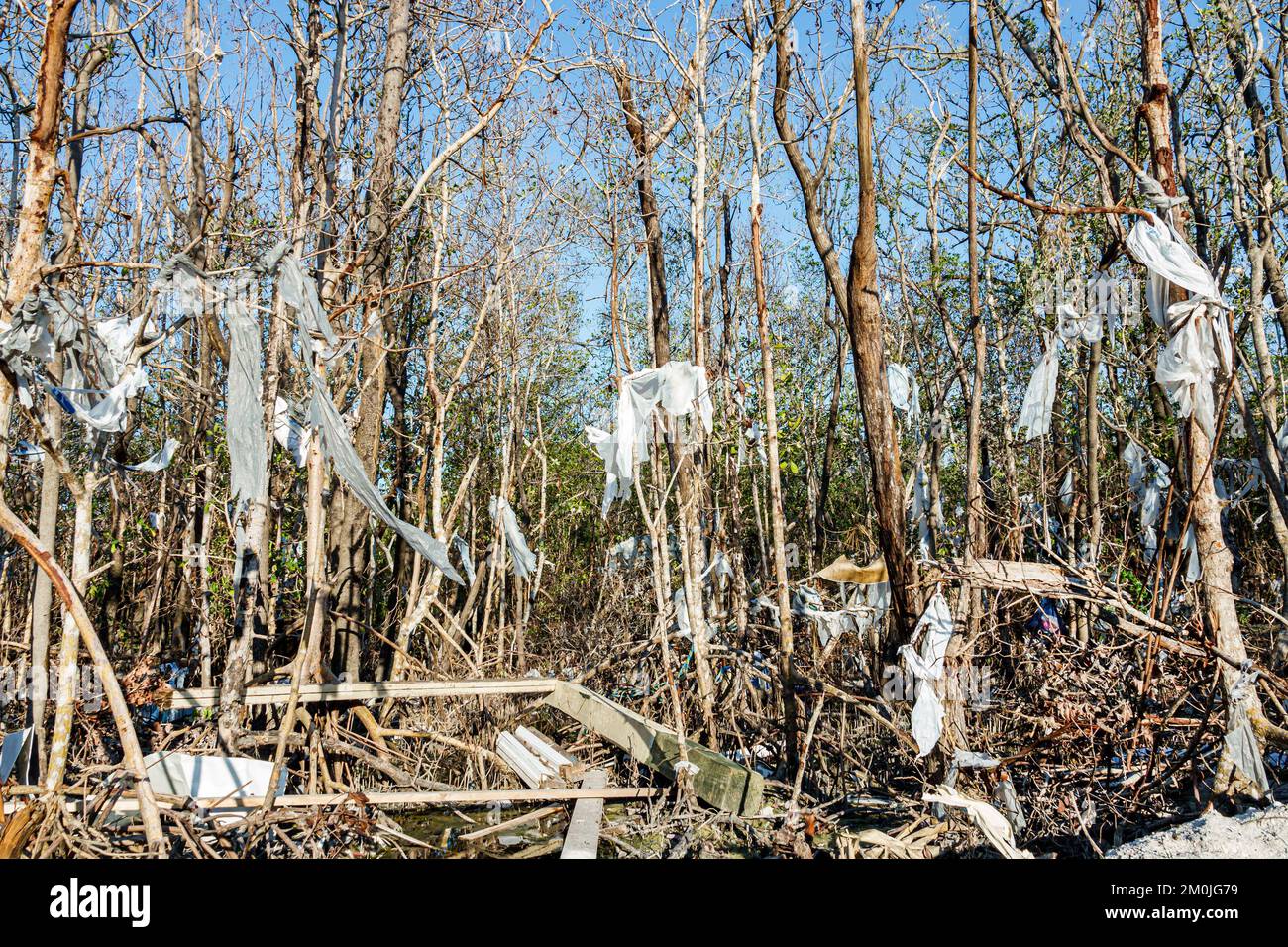 Hurricane ian damage destruction destroyed debris trash litter man made ...