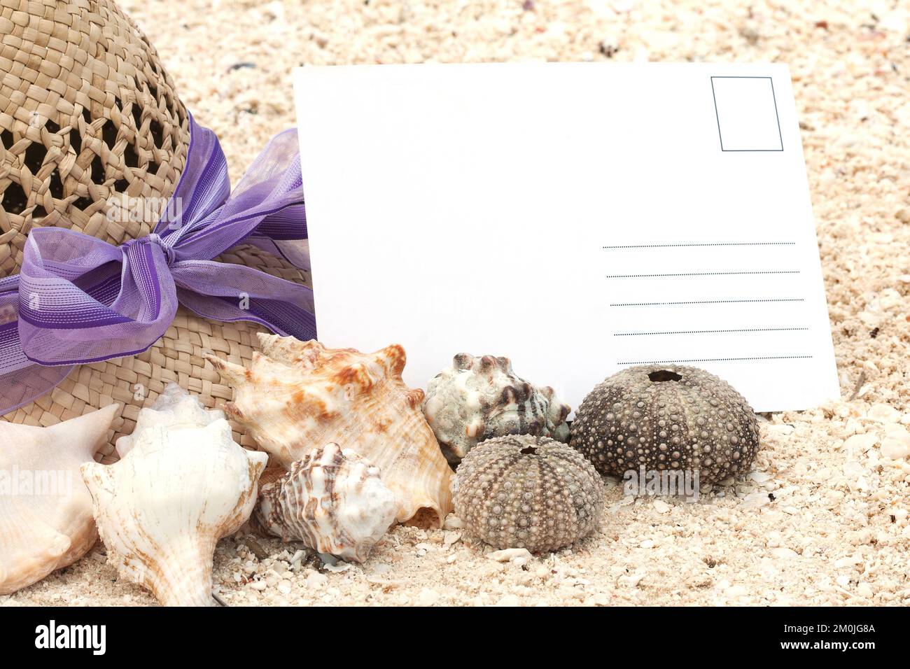 Empty postcard on sand beach among sea shells and a lady hat (manual ...