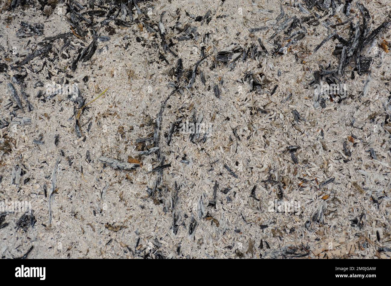 Gray ash from the oven background texture, cinder, grey ashes from the ...