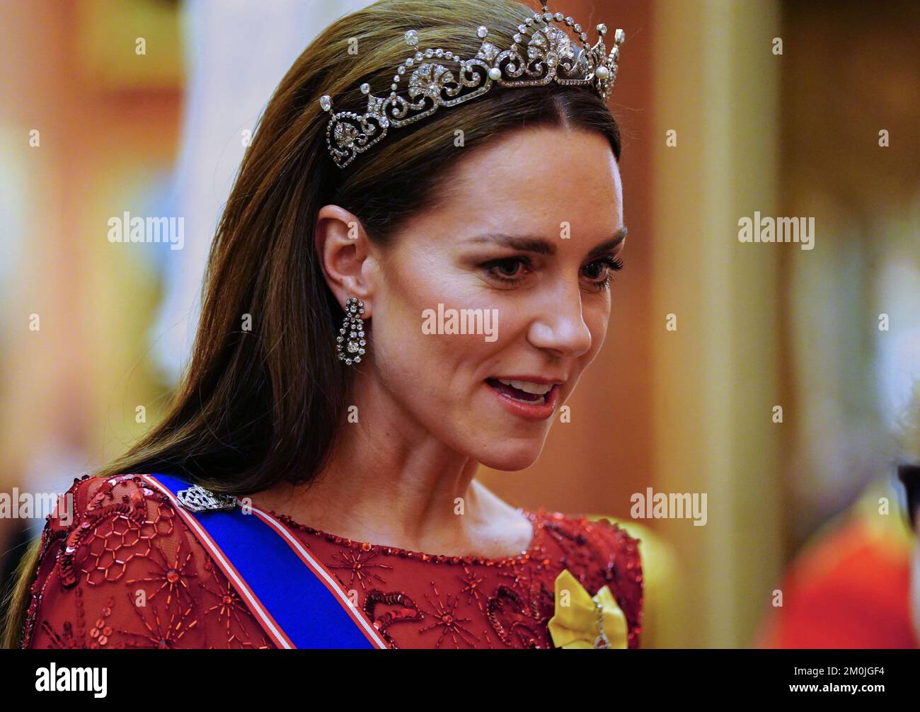 The Princess of Wales during a Diplomatic Corps reception at Buckingham ...