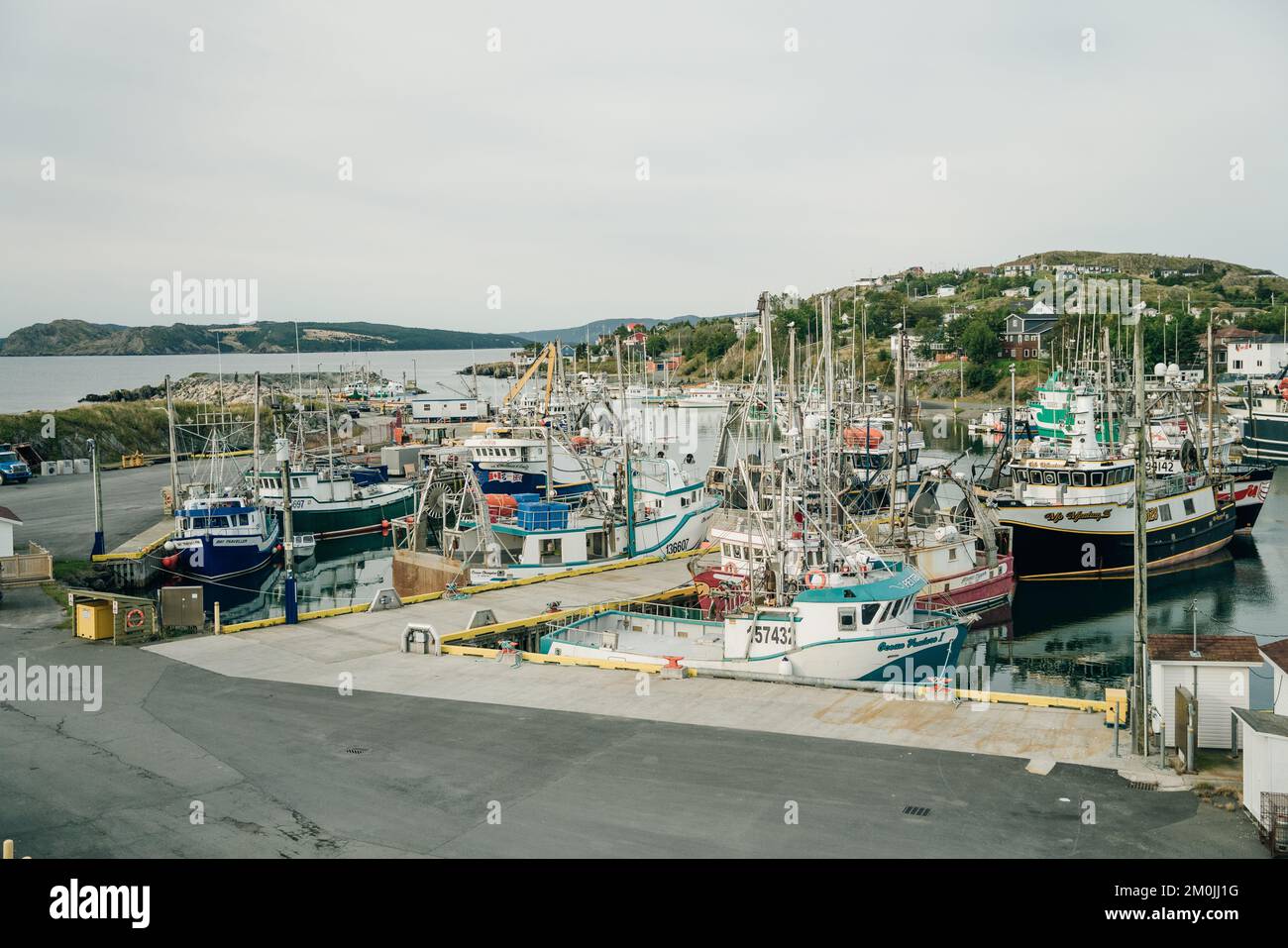 Newfoundland, Canada - August 2022: Multiple colorful fishing boats in ...