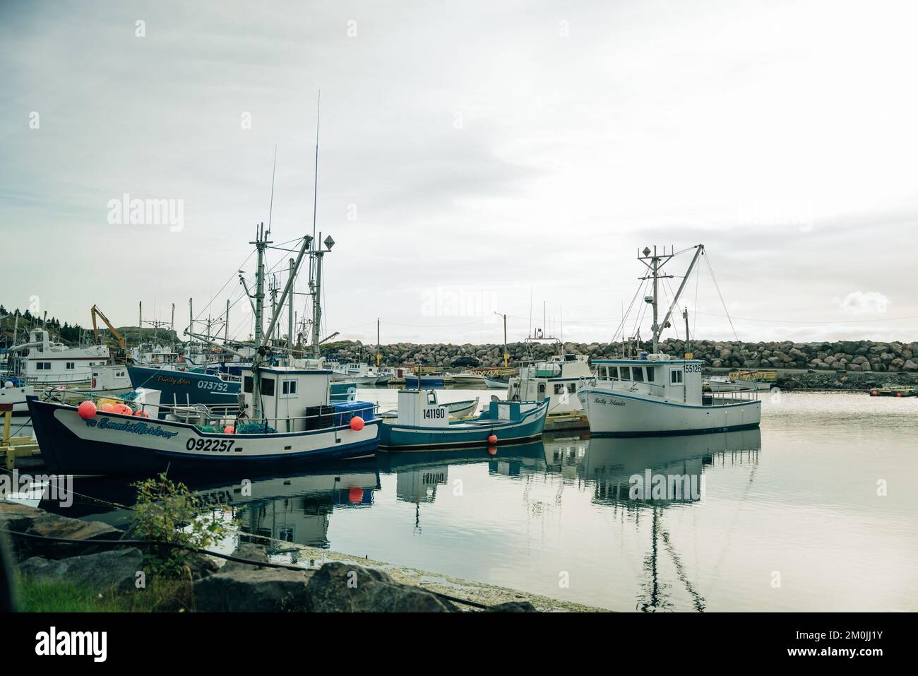 Newfoundland, Canada - August 2022: Multiple colorful fishing boats in ...