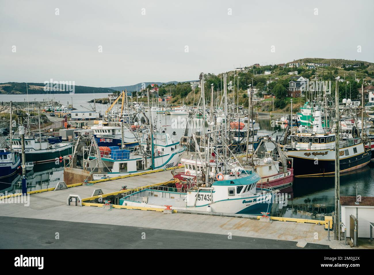 Newfoundland, Canada - August 2022: Multiple colorful fishing boats in ...