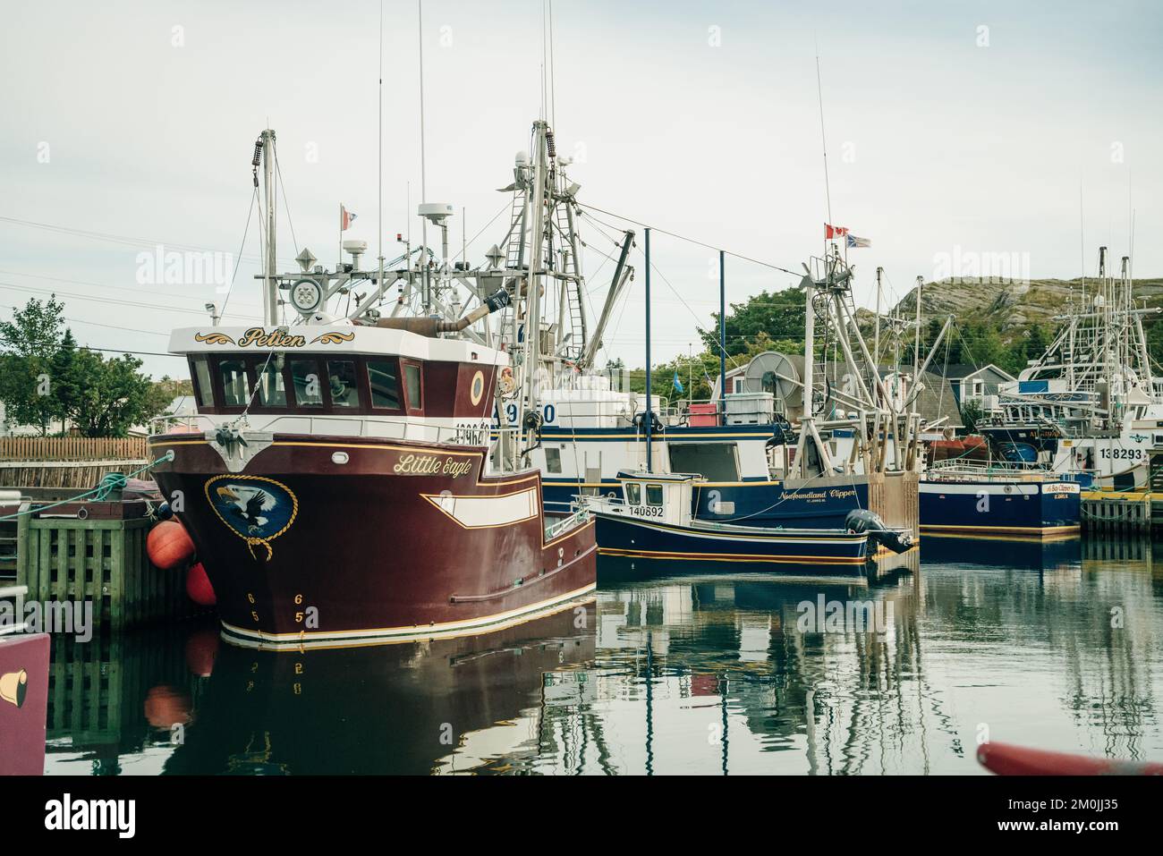 Newfoundland, Canada - August 2022: Multiple colorful fishing boats in ...