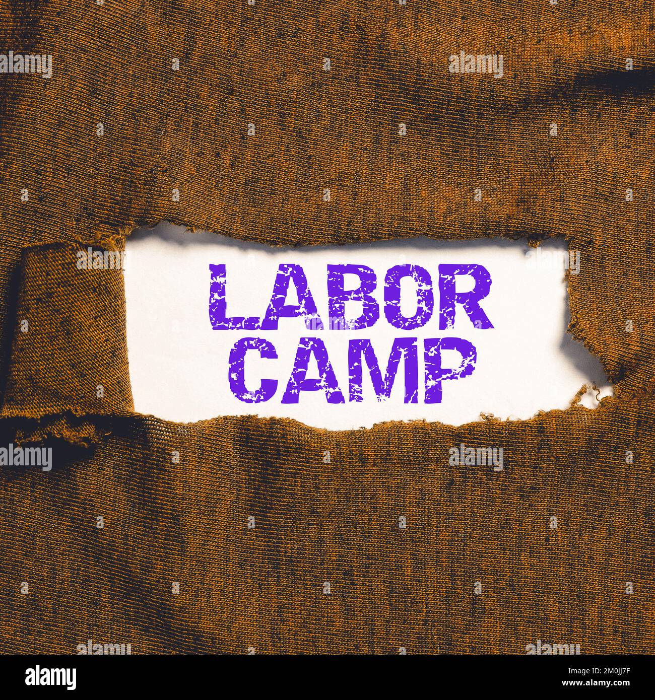 Text sign showing Labor Camp. Word for a penal colony where forced ...