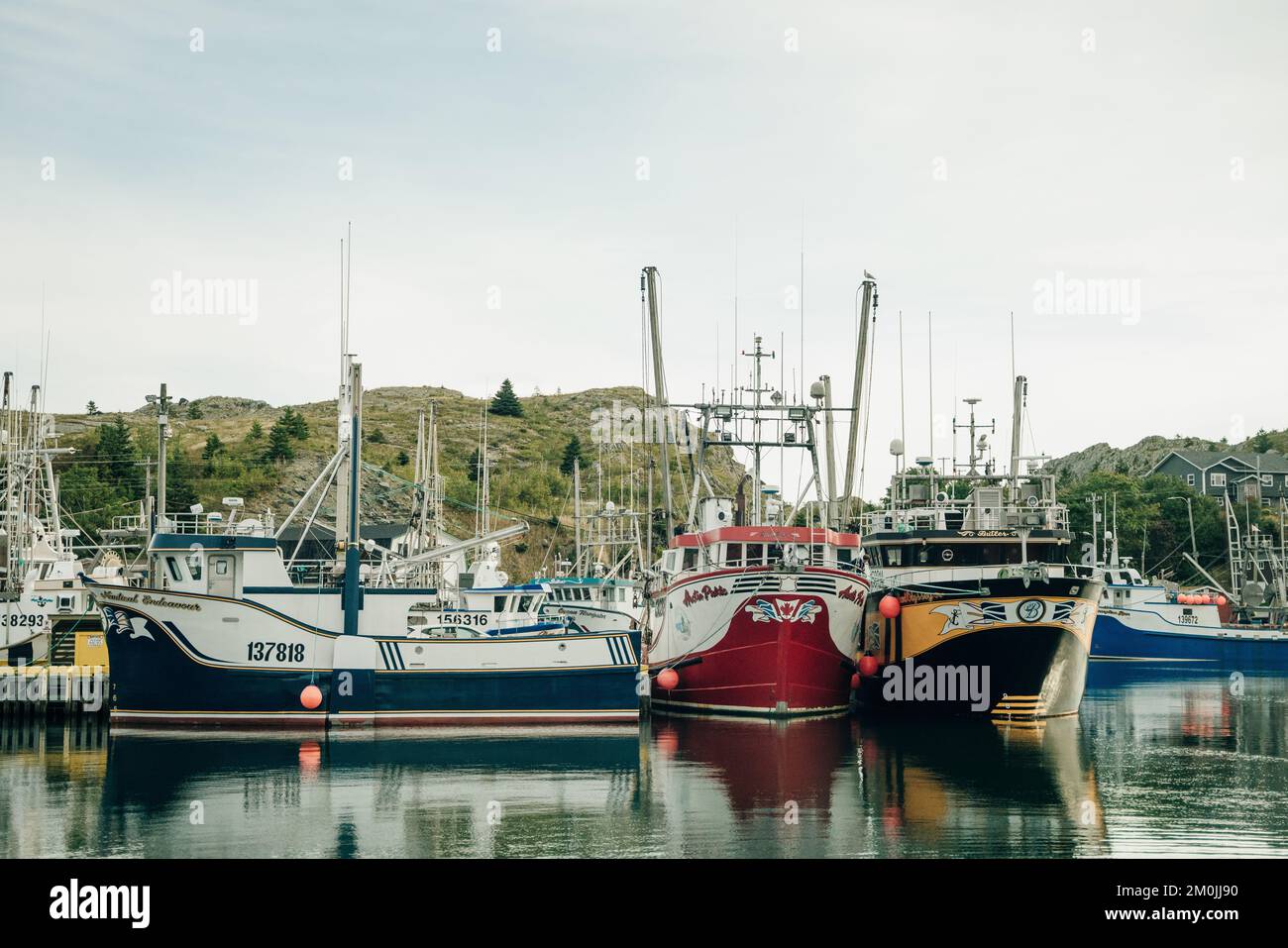 Newfoundland, Canada - August 2022: Multiple colorful fishing boats in ...