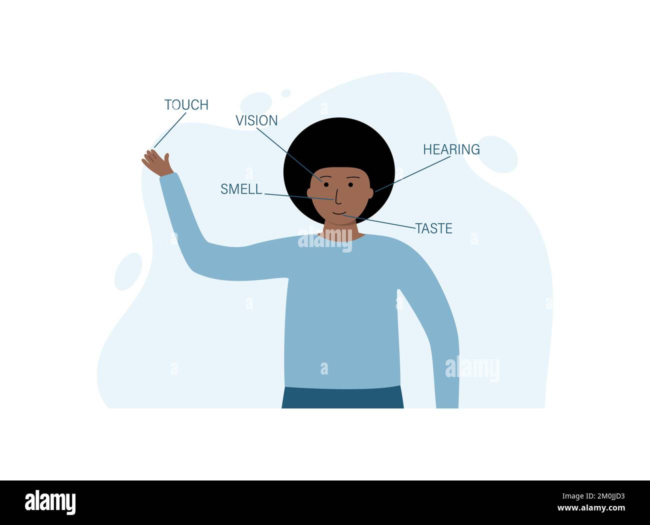 Set of human anatomy organs, biology, body structure. Human organs ...